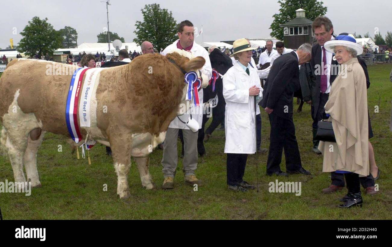 Britain's Queen Elizabeth II looks at one of the prize-winning bulls ...