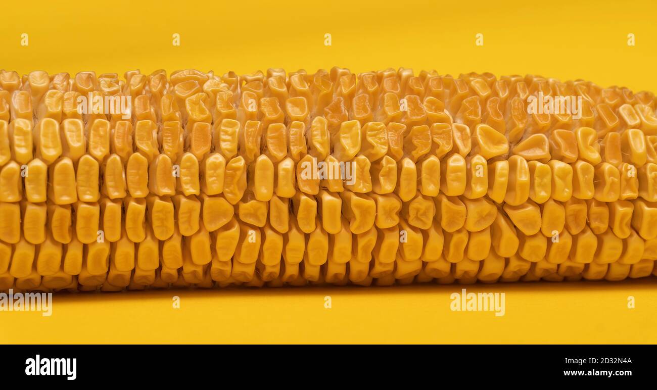 Macro view at moldy dried corn Stock Photo - Alamy