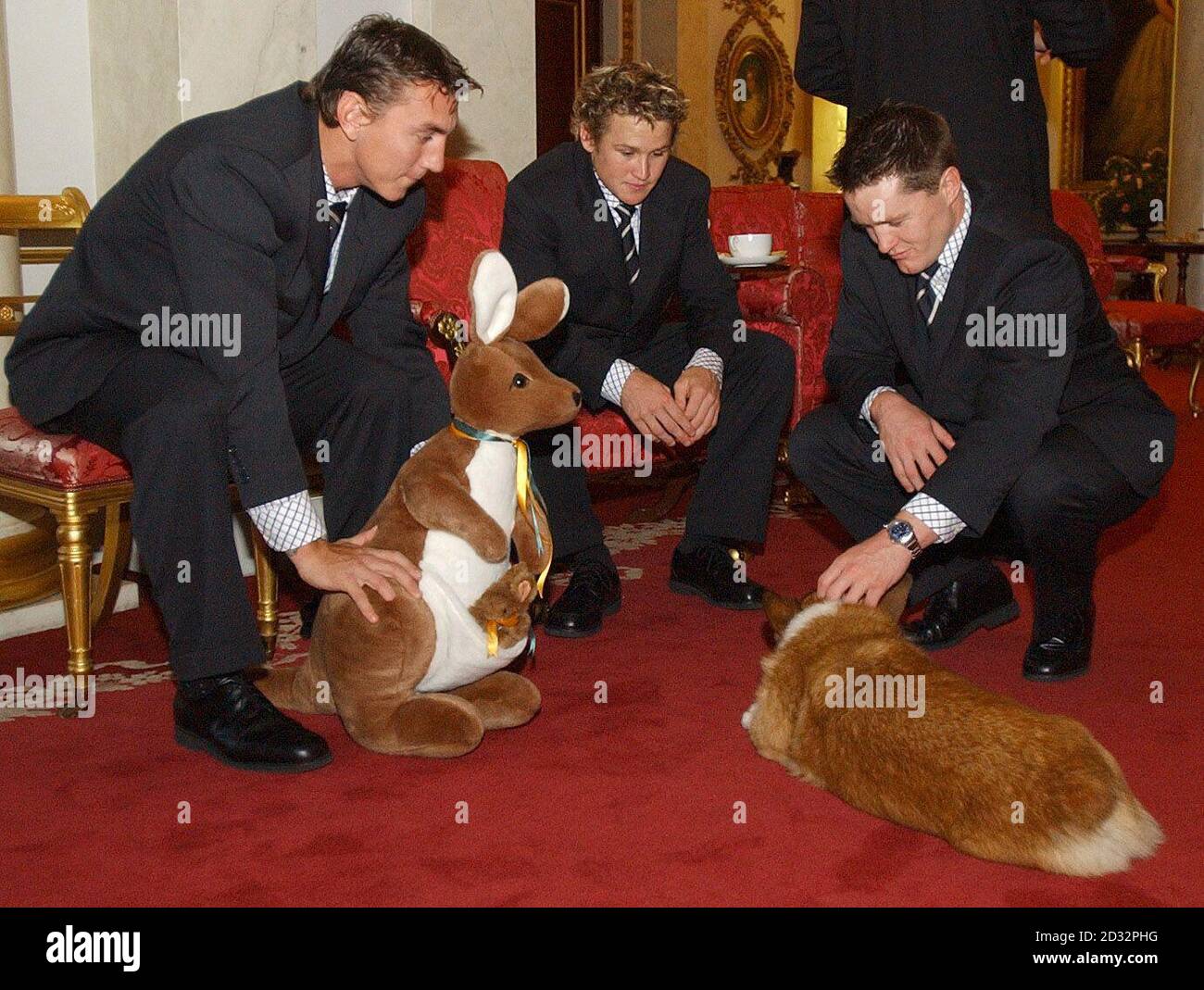 Australian rugby players matt rogers hi-res stock photography and ...