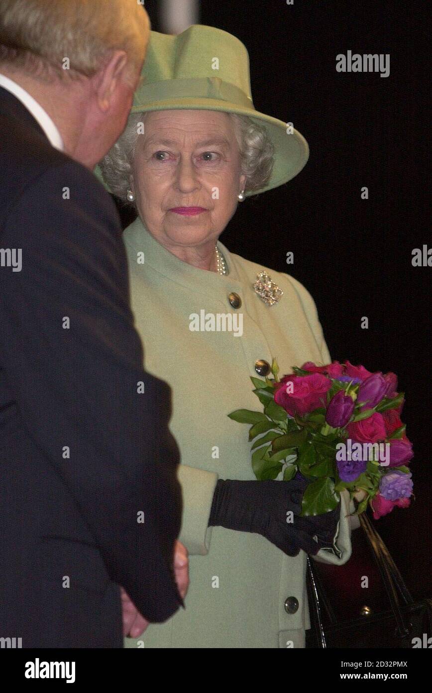 New gosling hi-res stock photography and images - Alamy