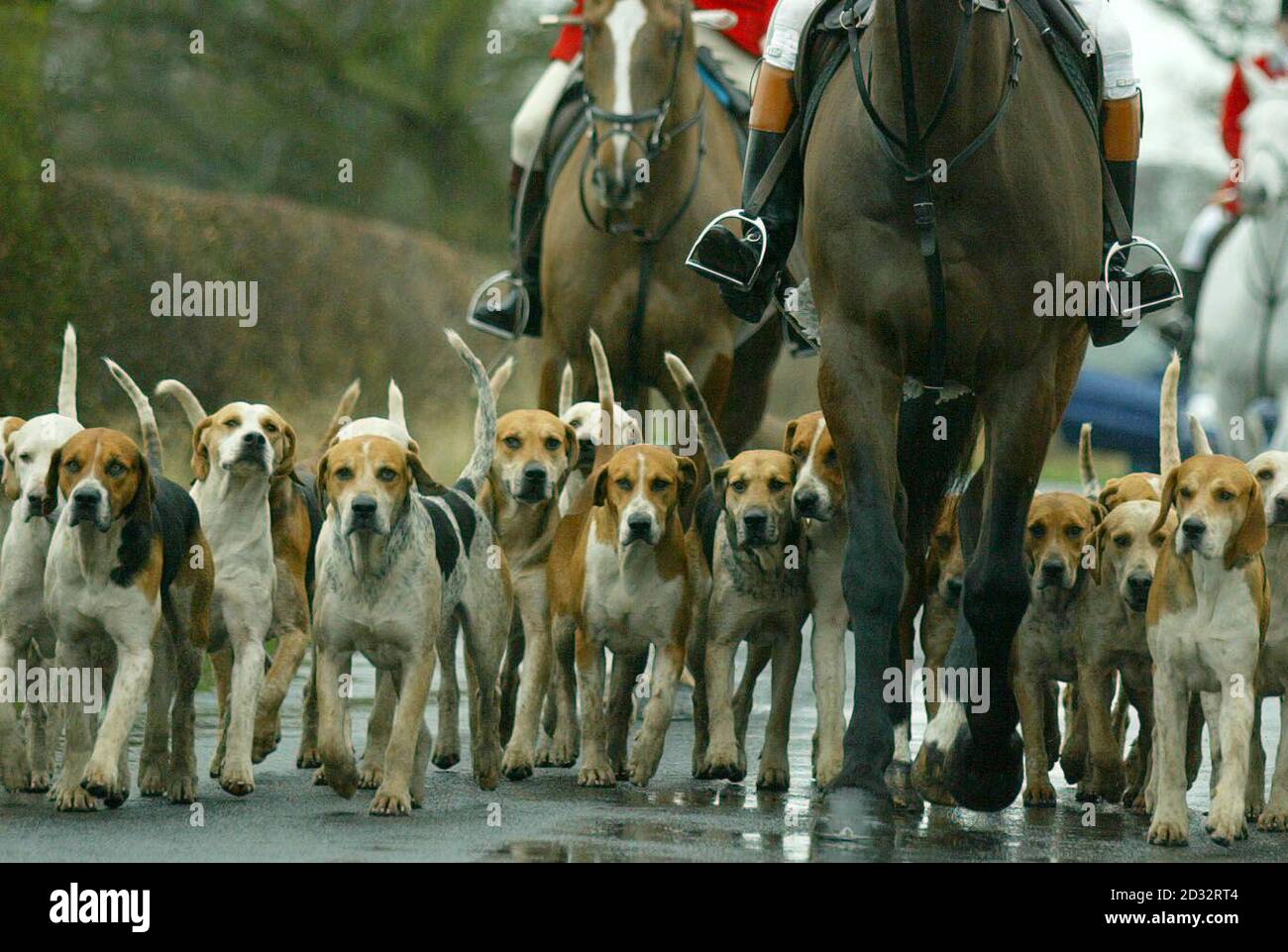 Master of the cheshire hounds hi-res stock photography and images - Alamy