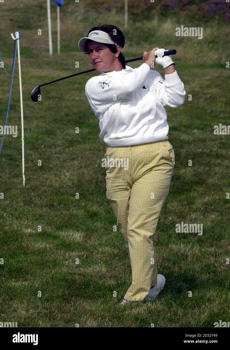 Alison Nicholas High Resolution Stock Photography and Images - Alamy