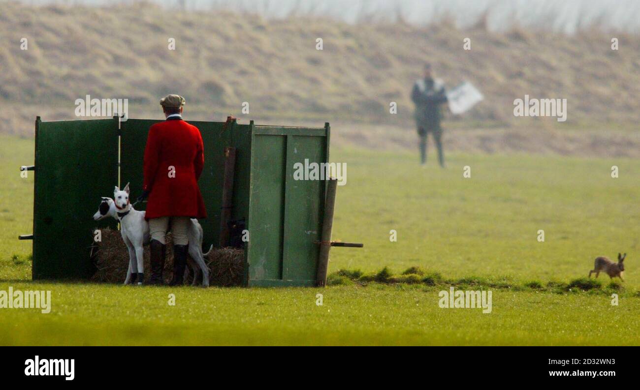 Coursing crowd hi-res stock photography and images - Alamy