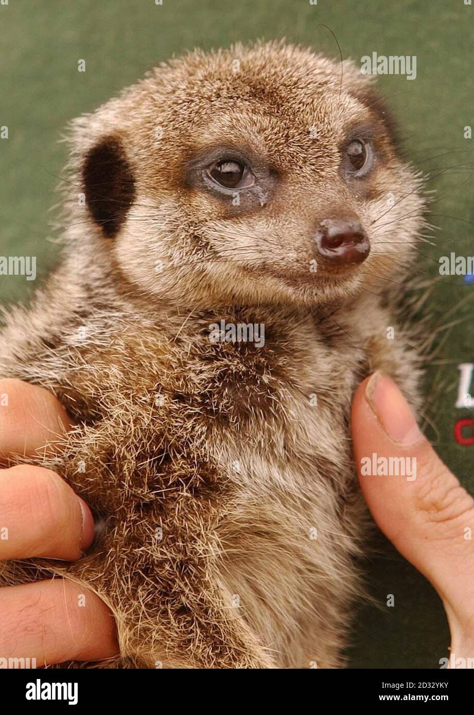 Zoo animal enclosures hi-res stock photography and images - Alamy