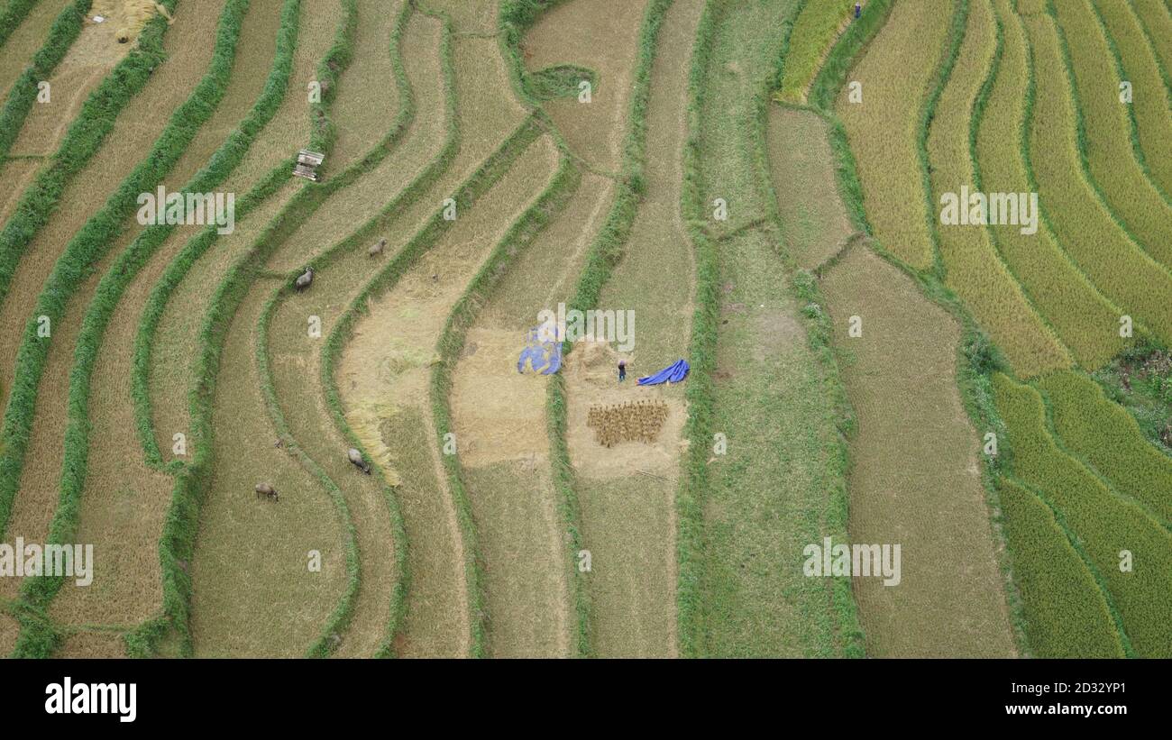 Landscape and people in rural Vietnam Stock Photo - Alamy