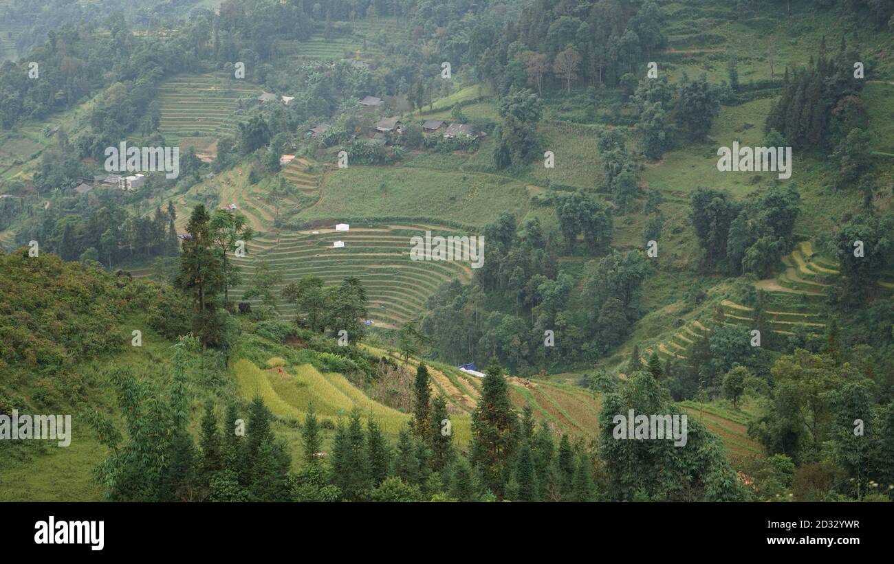 Landscape and people in rural Vietnam Stock Photo - Alamy