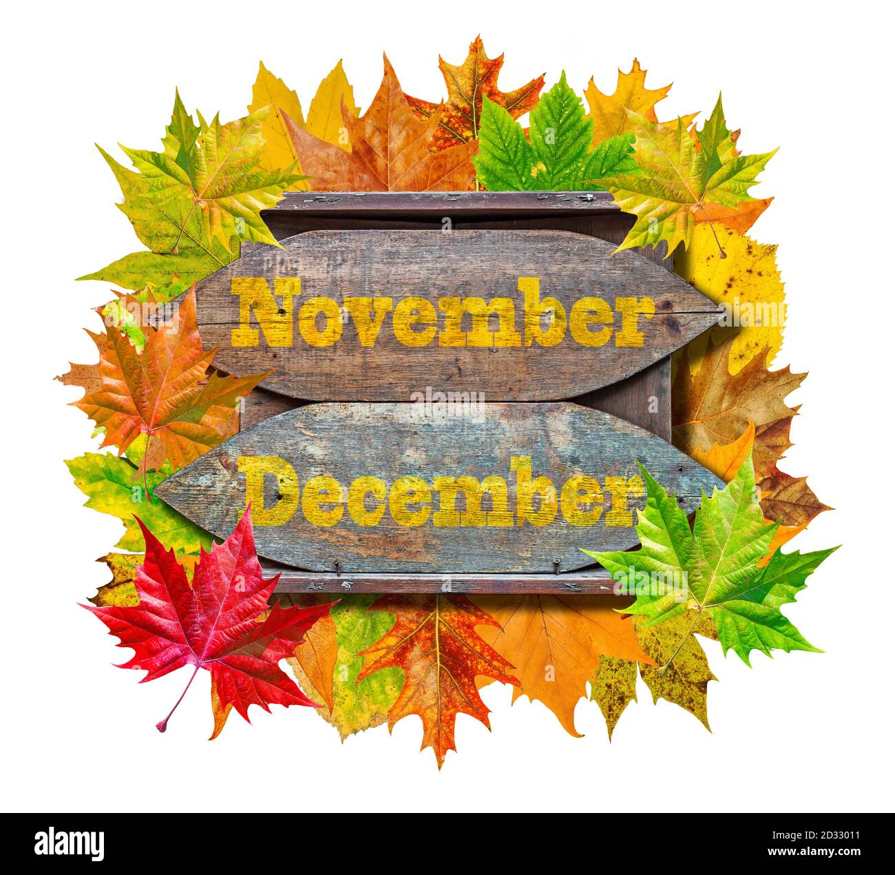November and autumn background Stock Photo - Alamy