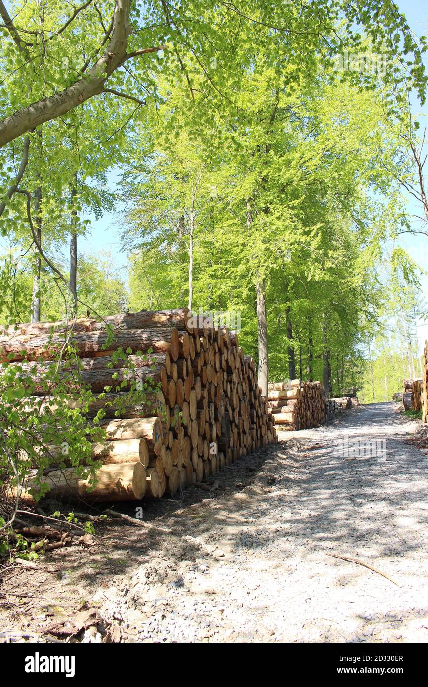 Disforestation hi-res stock photography and images - Alamy