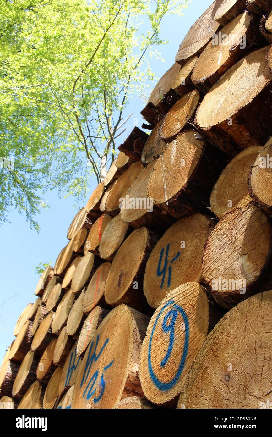 Disforestation hi-res stock photography and images - Alamy
