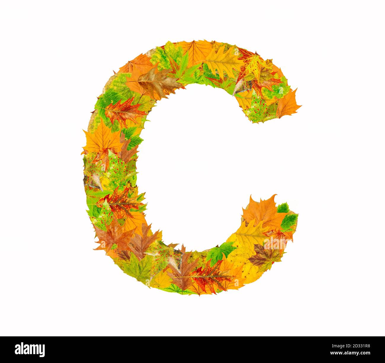 Letter made from autumn leaves isolated on white Stock Photo - Alamy