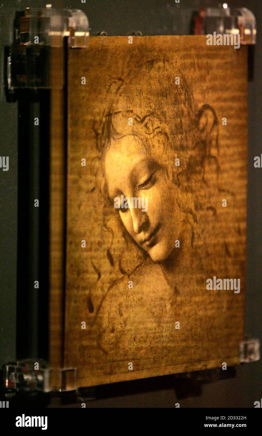 La scapigliata hi-res stock photography and images - Alamy