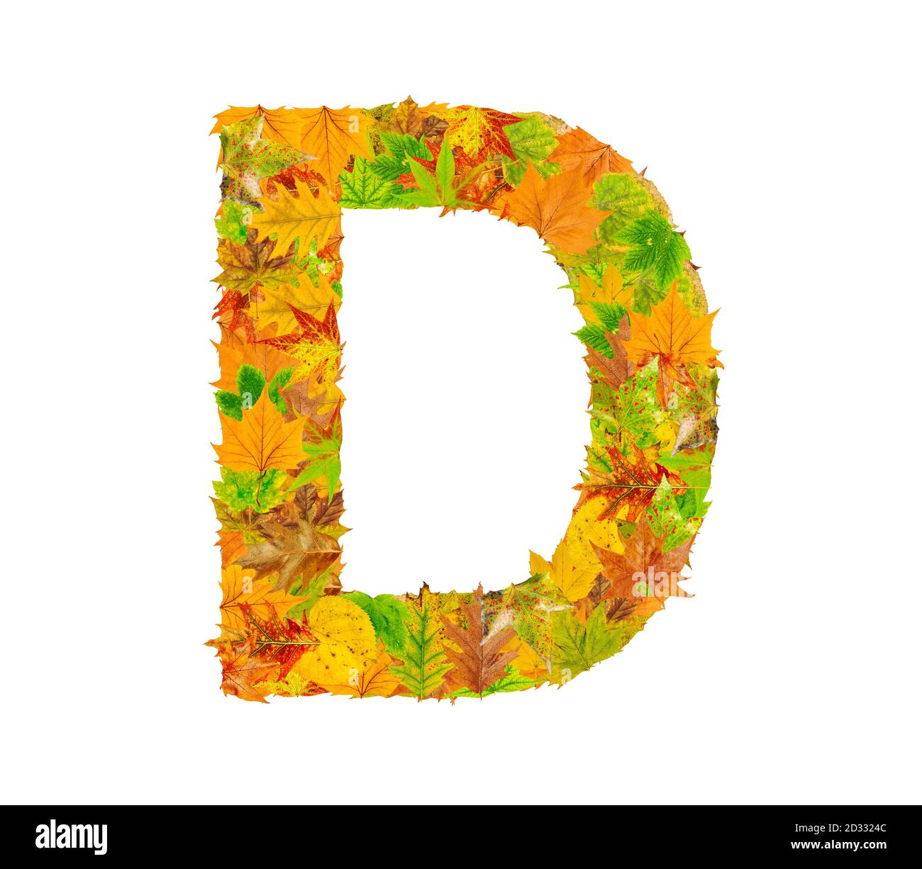 Letter d leaves hi-res stock photography and images - Alamy