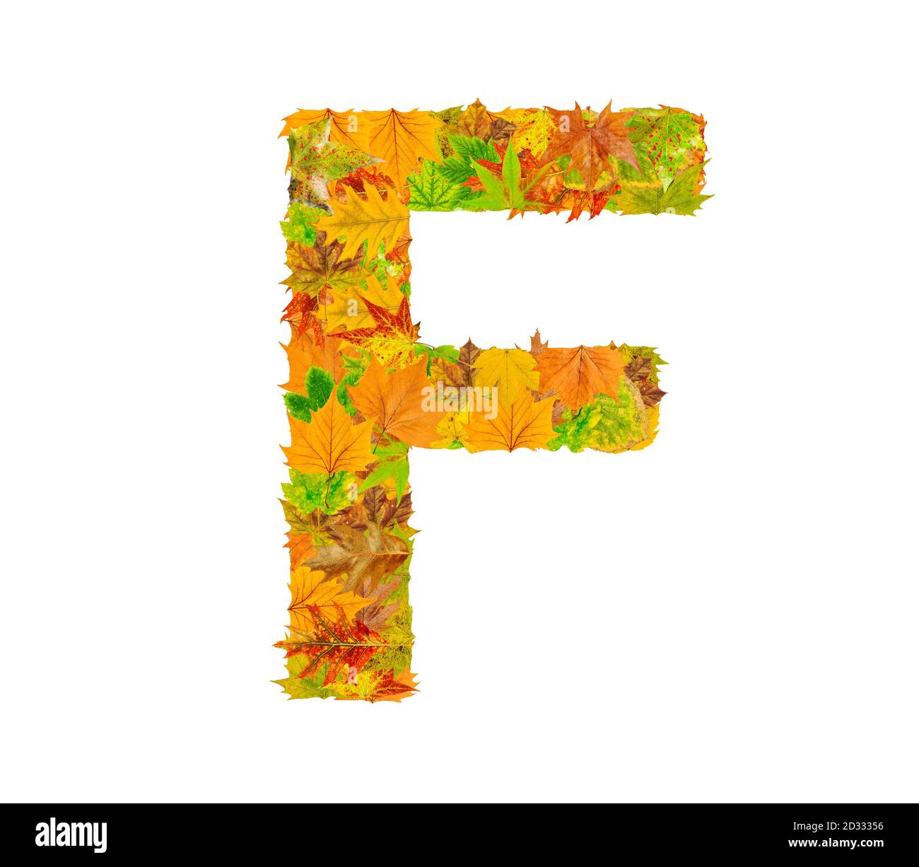 Letter made from autumn leaves isolated on white Stock Photo - Alamy