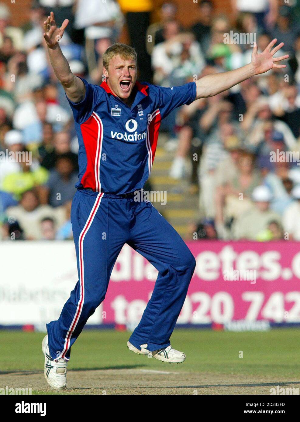 Sport cricket action celebrating andrew flintoff hi-res stock ...