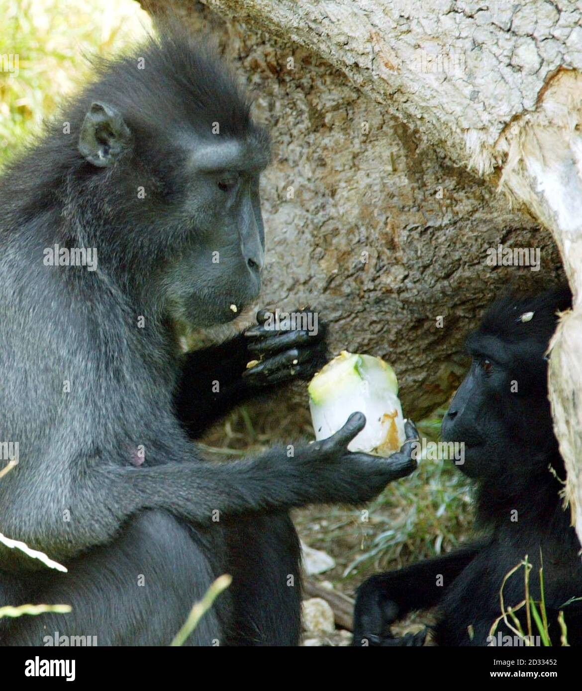Hotgallery hi-res stock photography and images - Alamy