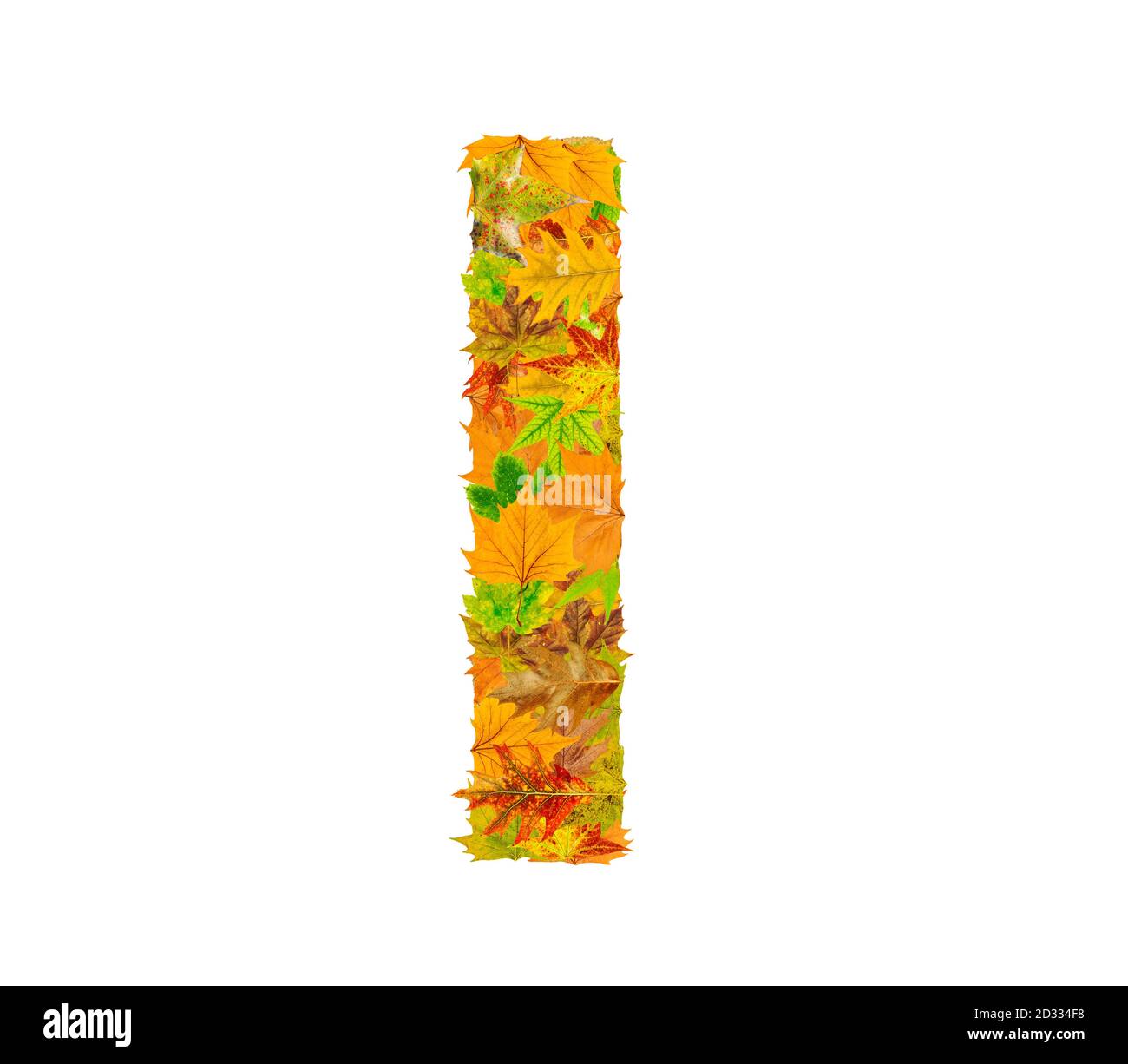 Letter made from autumn leaves isolated on white Stock Photo - Alamy
