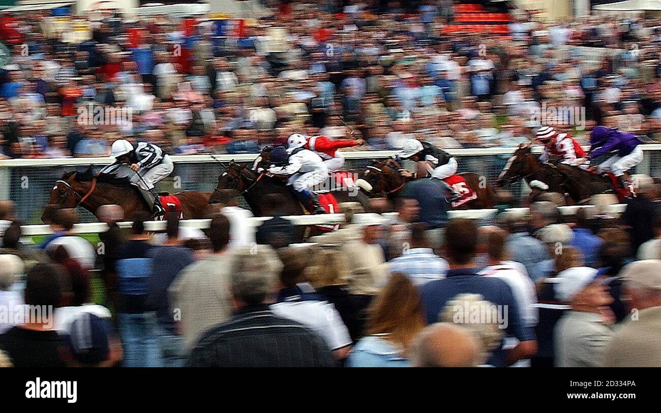Packed crowds on the Knavesmire in York watch as Bagan with jockey ...