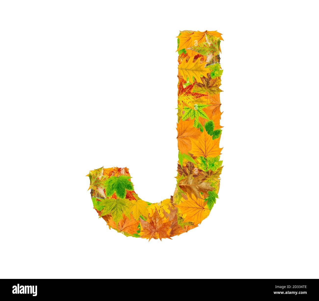 Letter made from autumn leaves isolated on white Stock Photo - Alamy