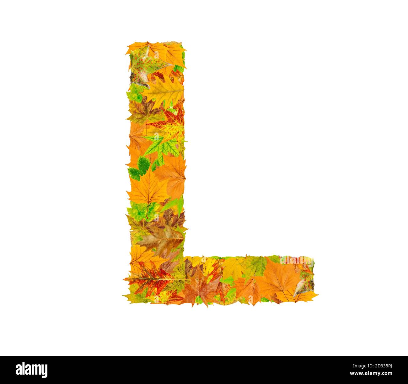 Letter made from autumn leaves isolated on white Stock Photo - Alamy