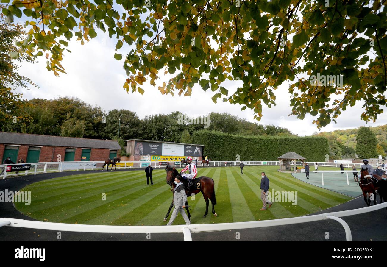 British stallion studs ebf novice stakes nottingham racecourse hi-res ...