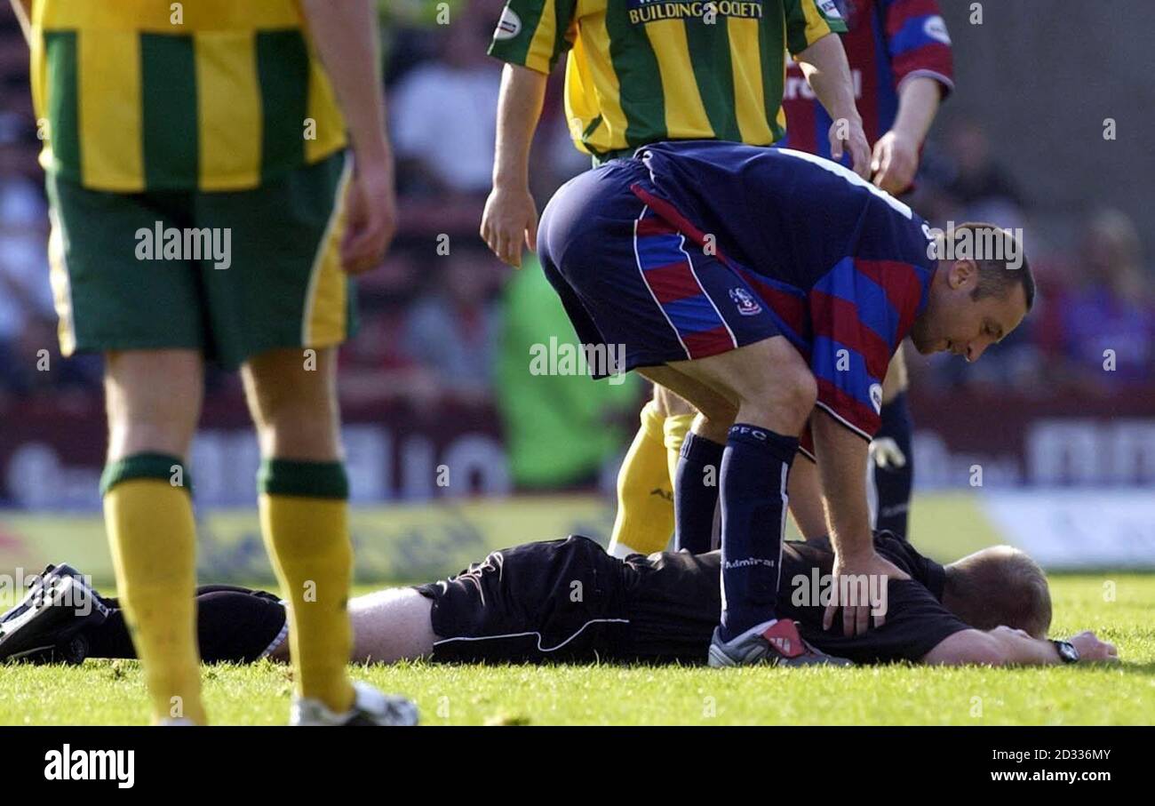 Crystal Palace's Michael Hughes checks on referee Paul Danson after ...