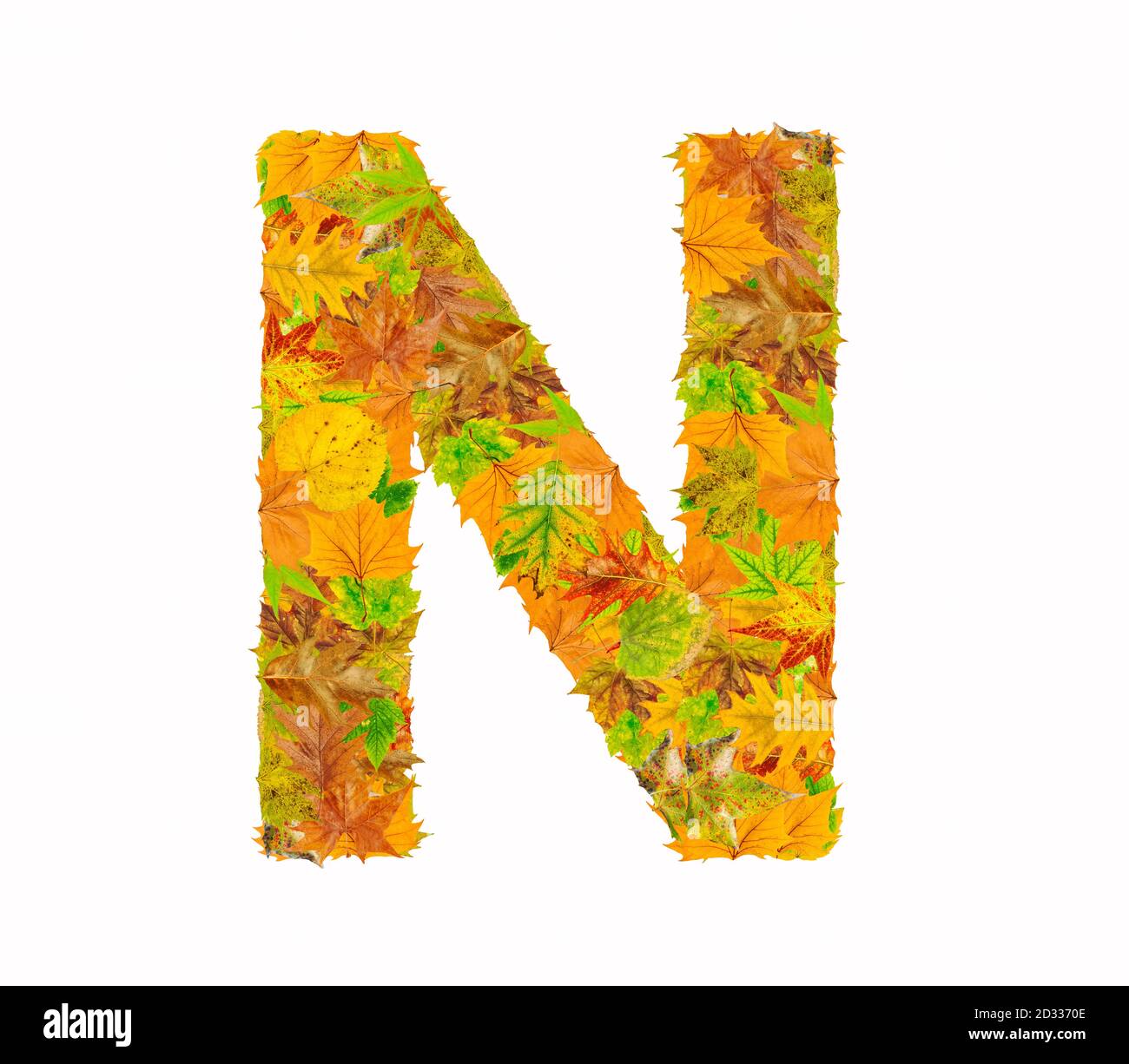 Letter n leaves hi-res stock photography and images - Alamy