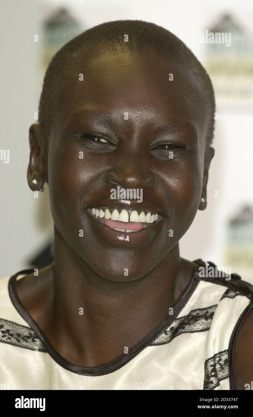 Alex Wek at the Lycra Britsh Style Awards 2003 at the Old Billingsgate ...