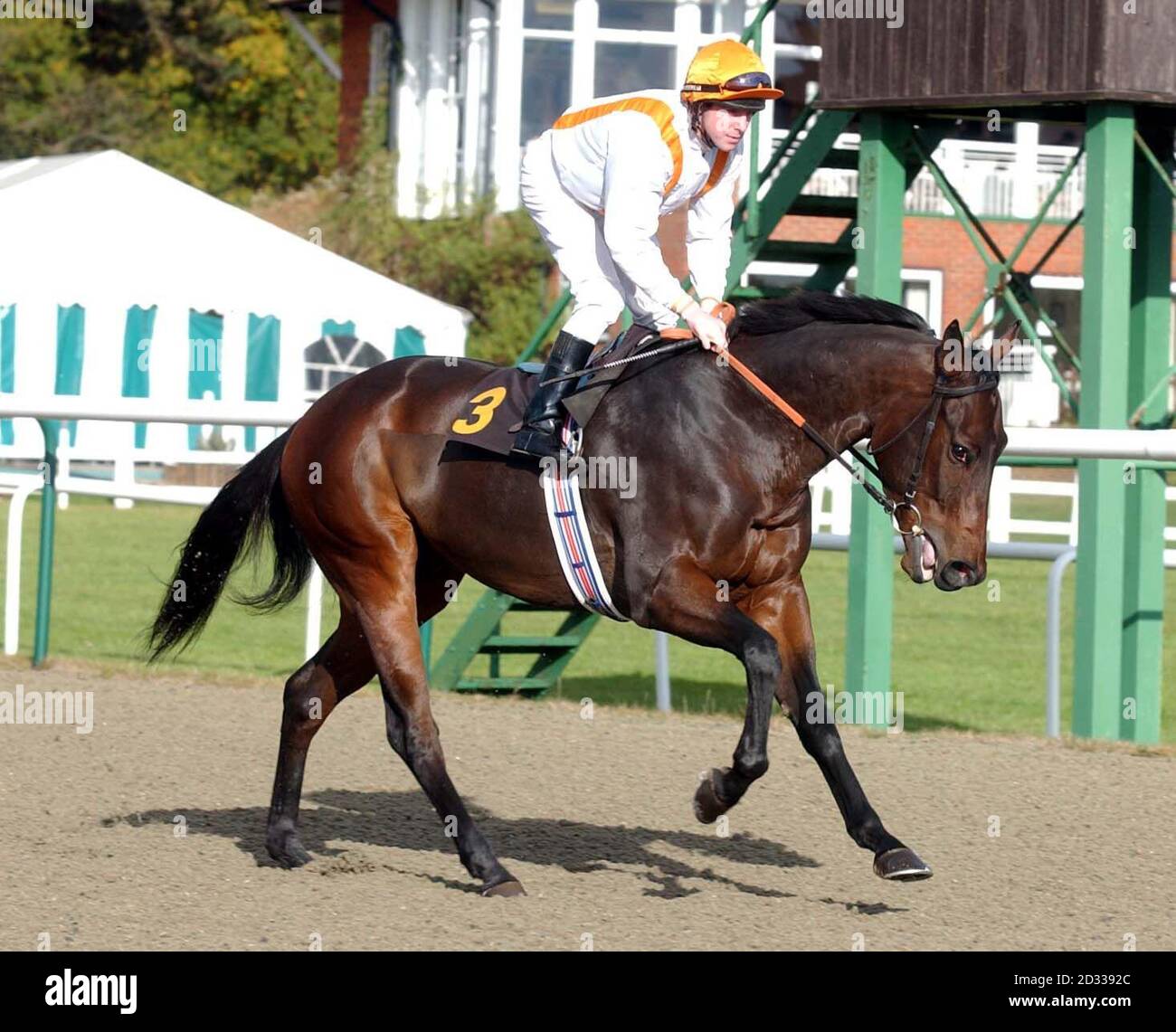 Ladies knight jockey robert winston hi-res stock photography and images ...