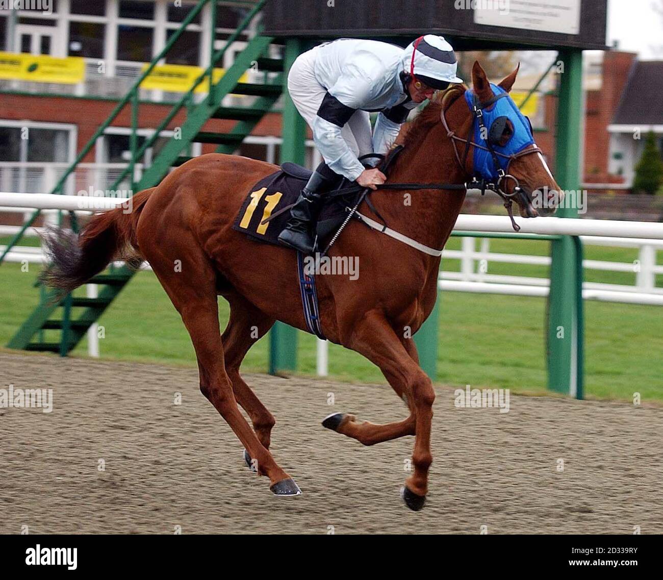 Calusa with Jockey A. Clark on board, at Lingfield races Stock Photo ...