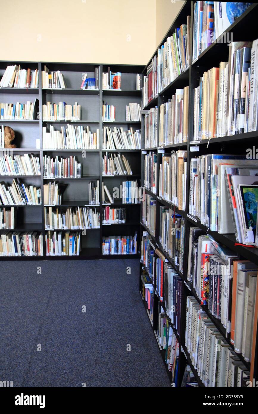 small library with a lot of books as nice background Stock Photo - Alamy