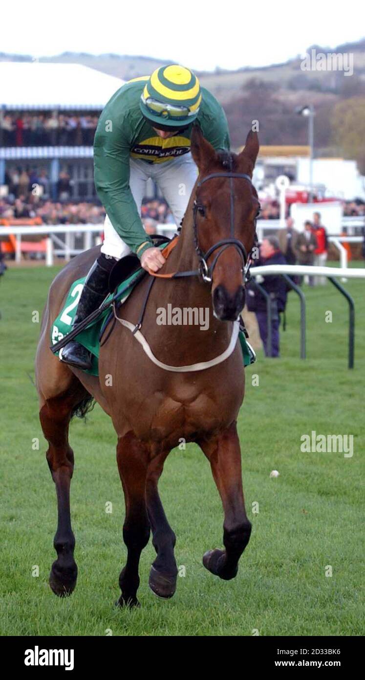Ruby walsh cheltenham hi-res stock photography and images - Alamy