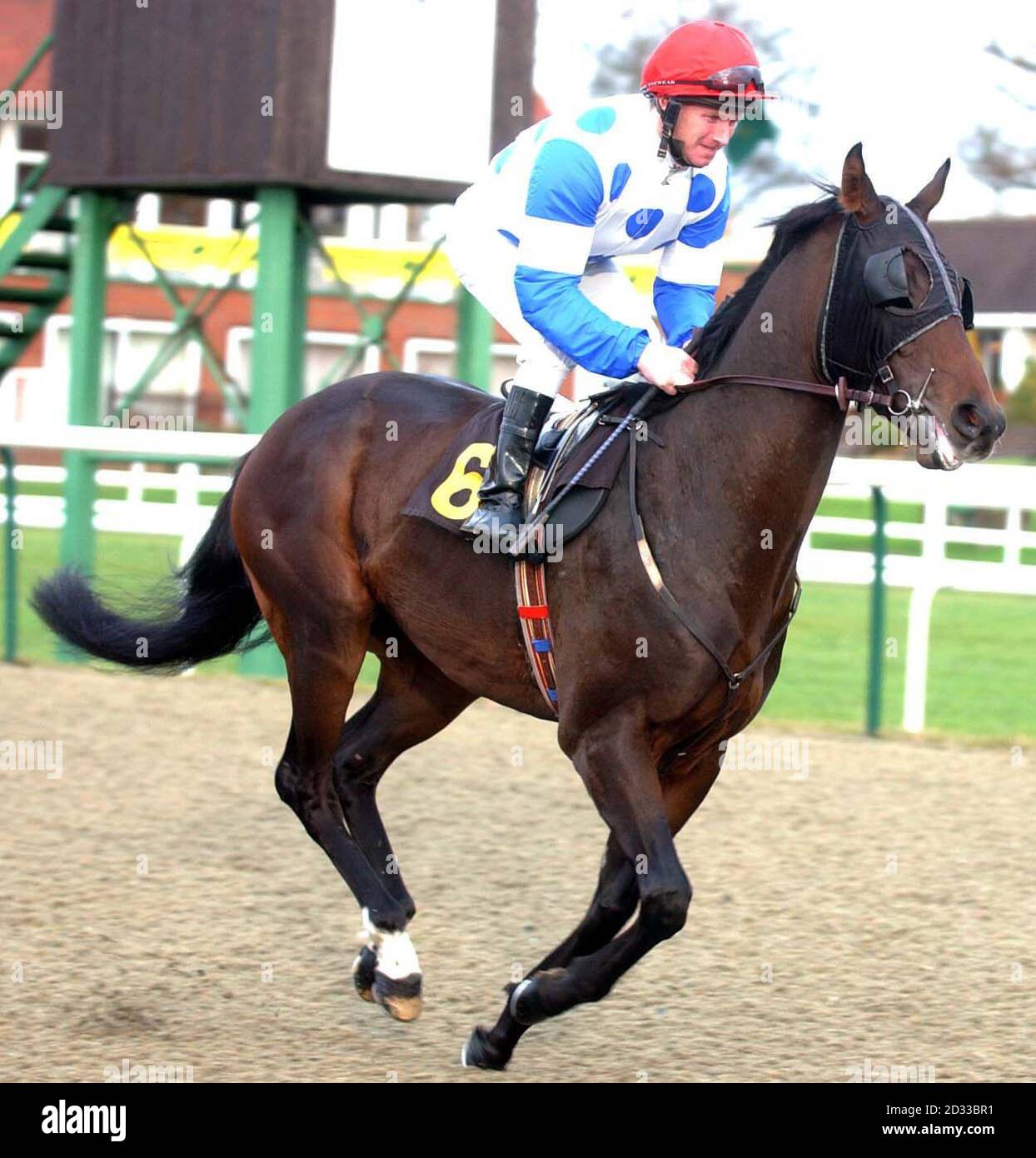 Chubbes with jockey Joe Fanning at Lingfield Park, Surrey Stock Photo - Alamy