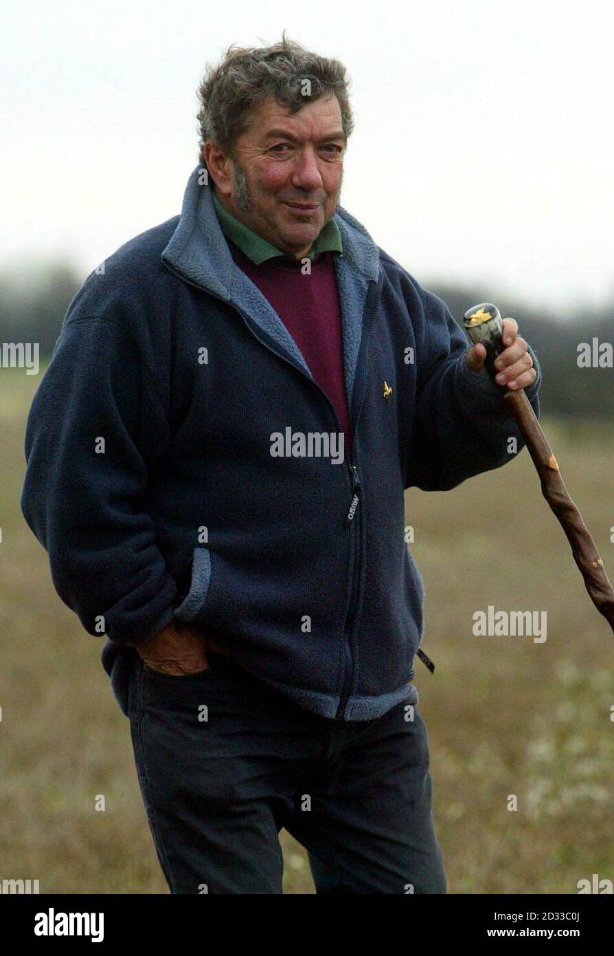 Robin page hi-res stock photography and images - Alamy