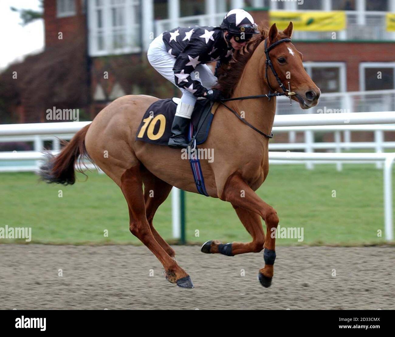 Star of p hi-res stock photography and images - Alamy