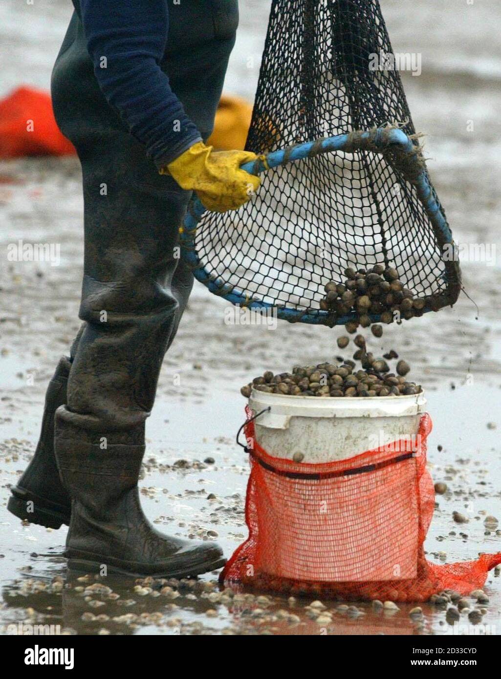 Onevisionbritishsport hi-res stock photography and images - Alamy