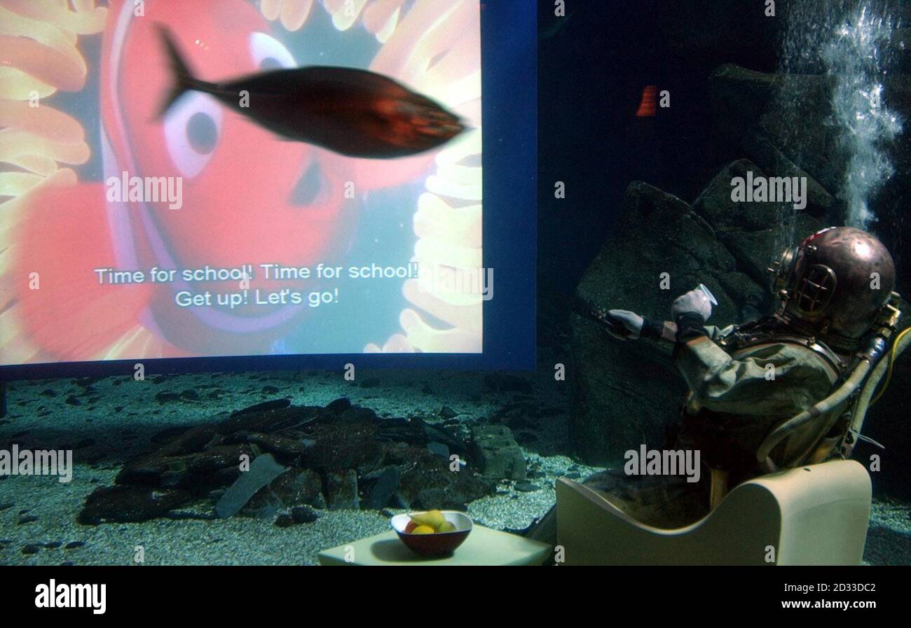 Finding Nemo High Resolution Stock Photography and Images - Alamy