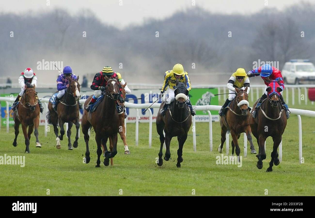 Held at doncaster races hi-res stock photography and images - Alamy
