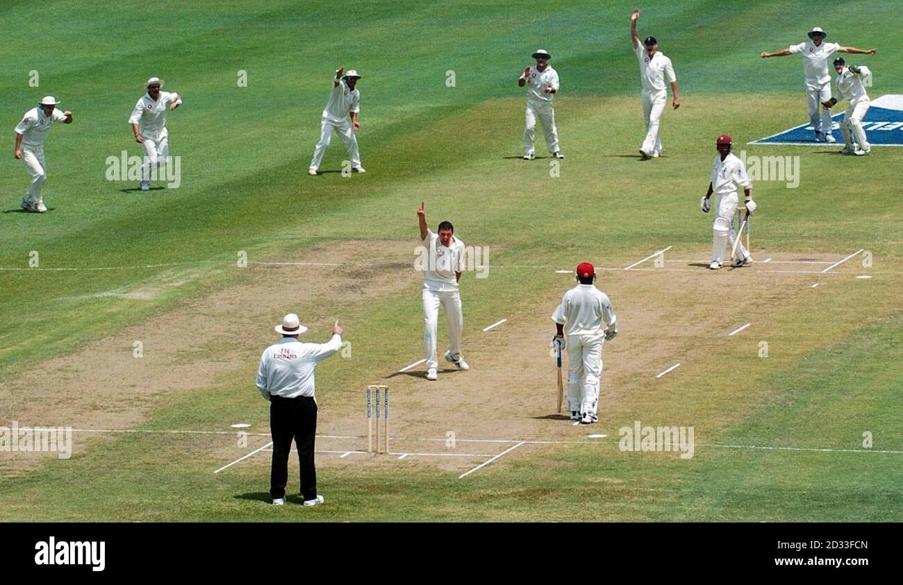 Umpire Darrell Hair gives out West Indian batsman Darren Ganga, lbw to ...