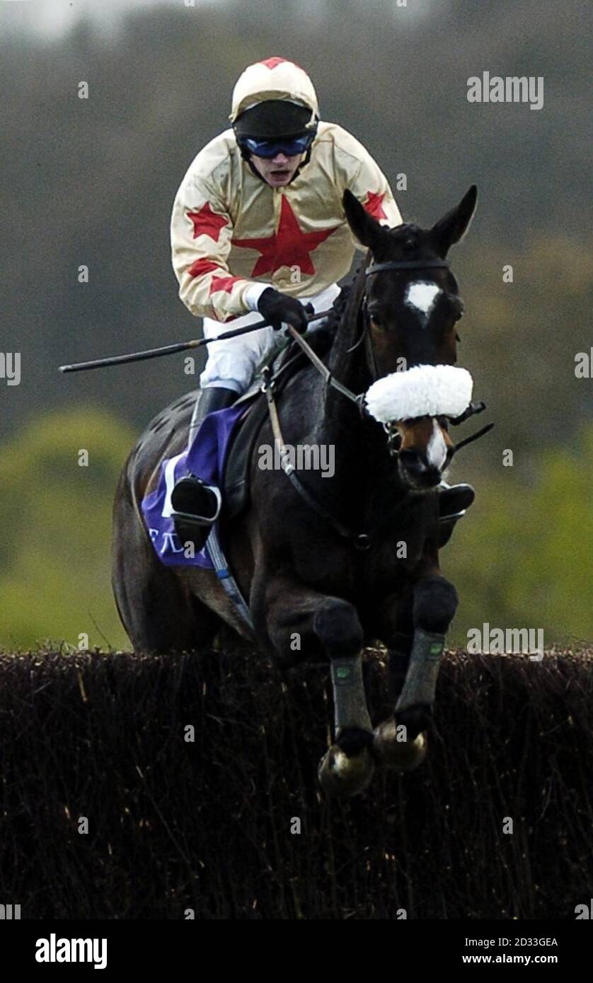 Horseracing alan dempsey hi-res stock photography and images - Alamy