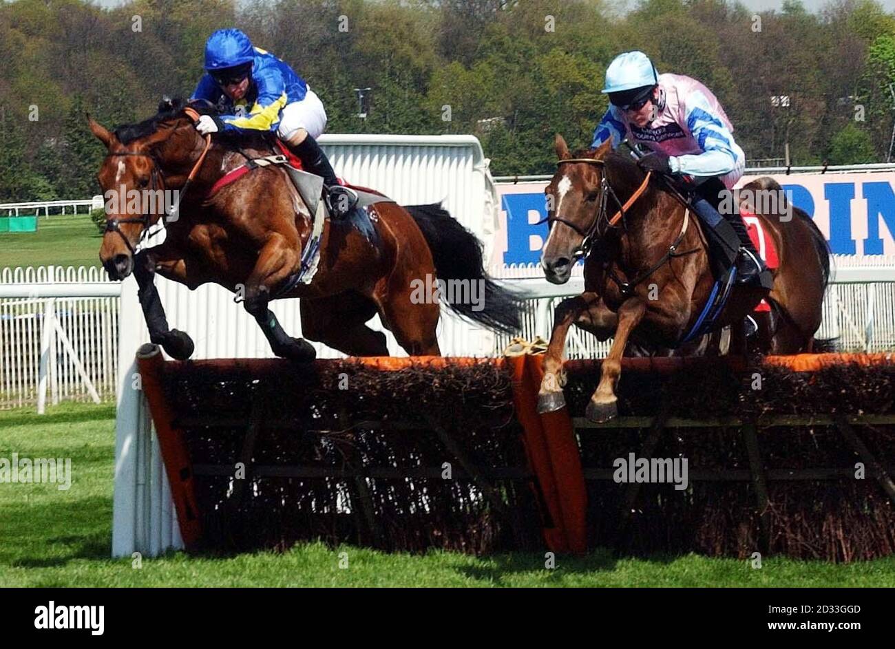 Hasty prince jumps fence jockey barry geraghty hi-res stock photography ...