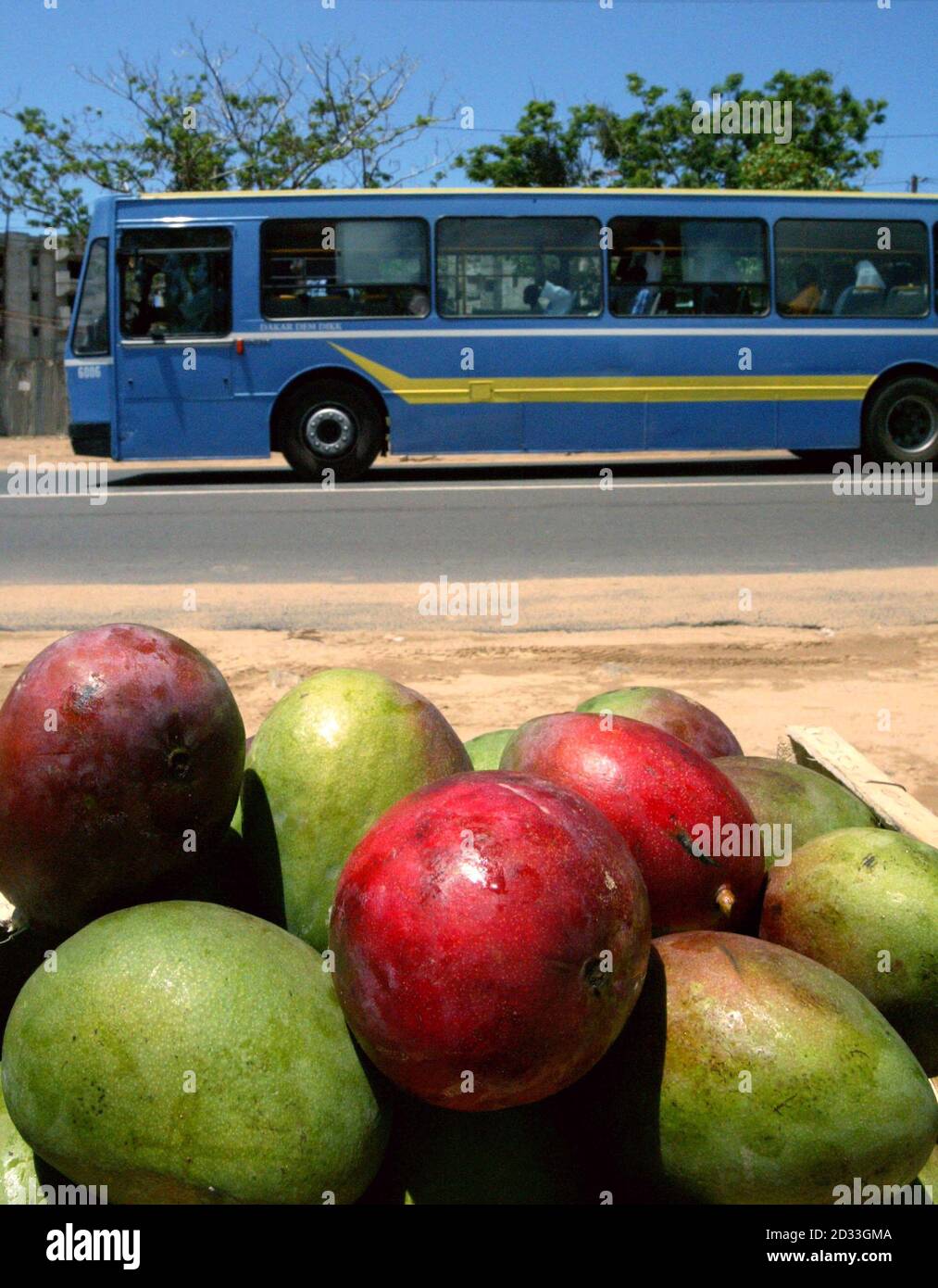 4 mangoes hi-res stock photography and images - Alamy