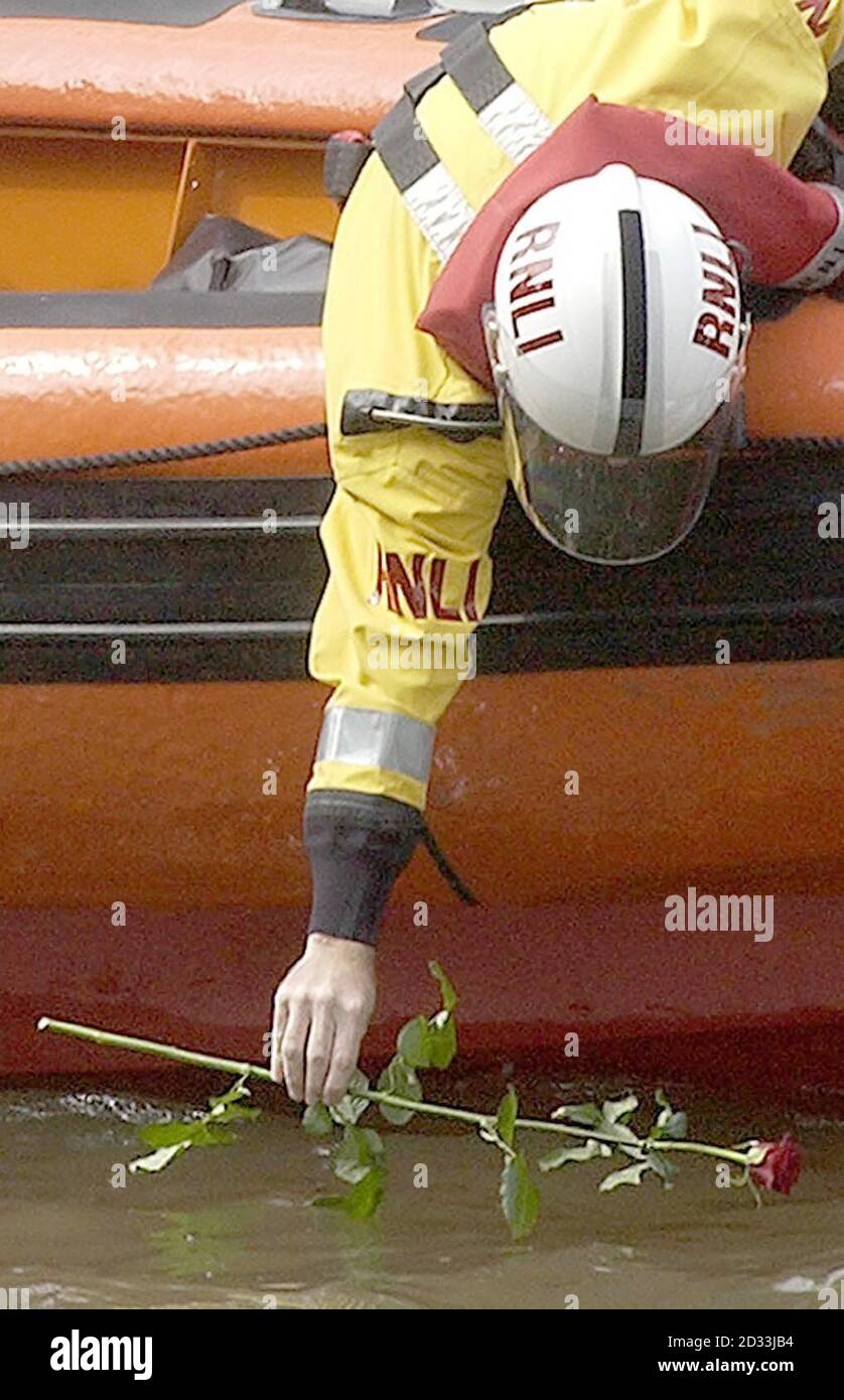 A lifeboat crew places one of 51 roses, marking every person who lost ...