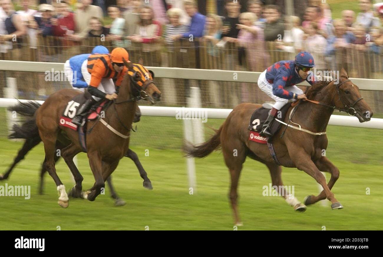 Darryl Holland riding Mystical Girl leads the field at Tattenham Corner ...