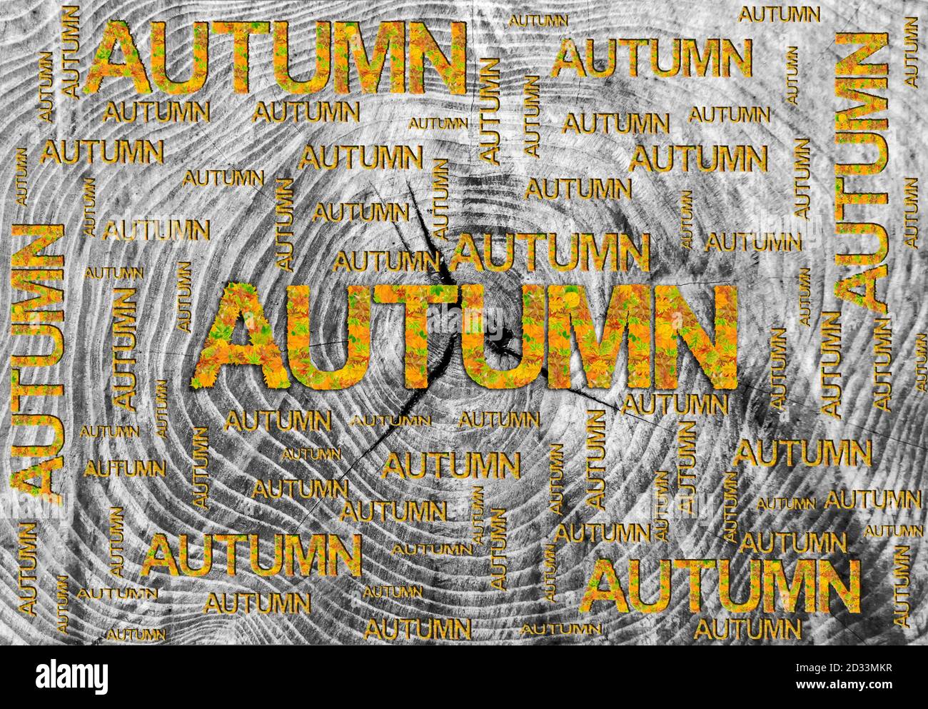 Seamless background vector autumn leaves hi-res stock photography and ...