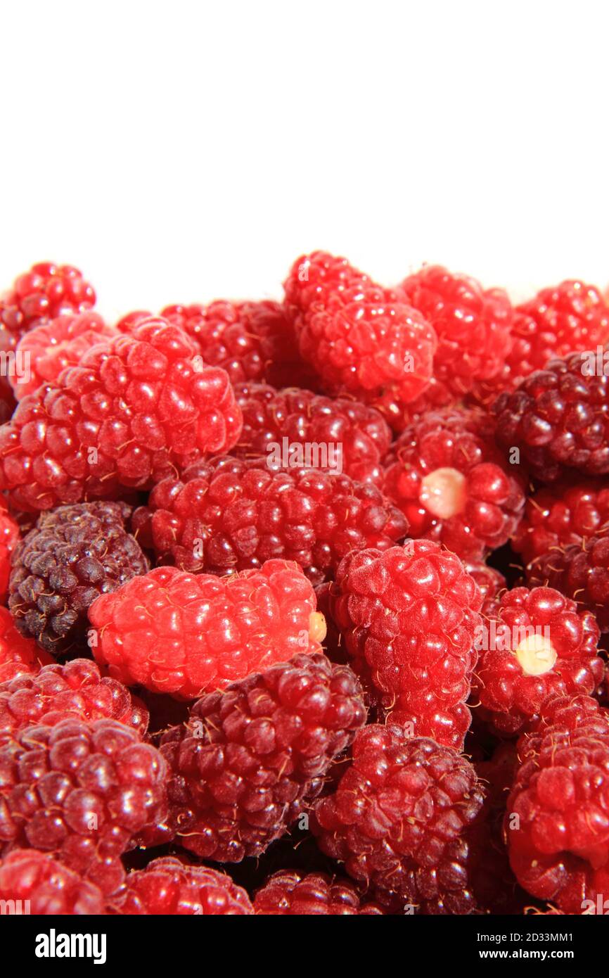 big red raspberries as nice natural food background Stock Photo - Alamy