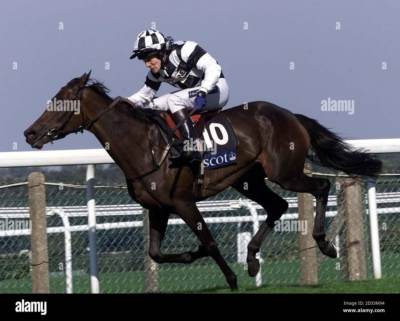 Belle D'anjou with jockey Tom Scudamore wins the Bollinger Champagne ...