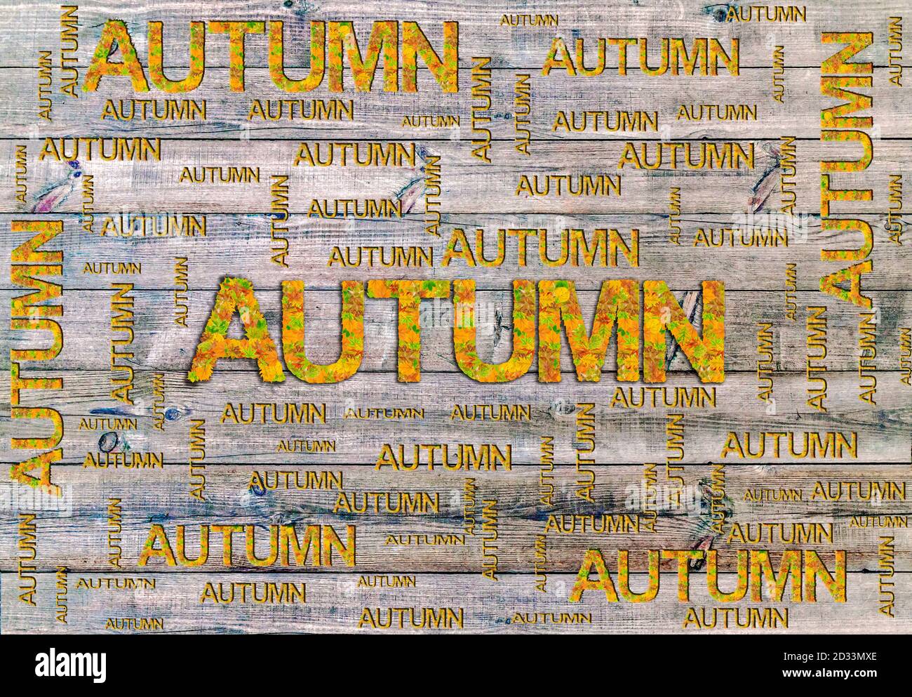 Word autumn made of leaves Stock Photo - Alamy