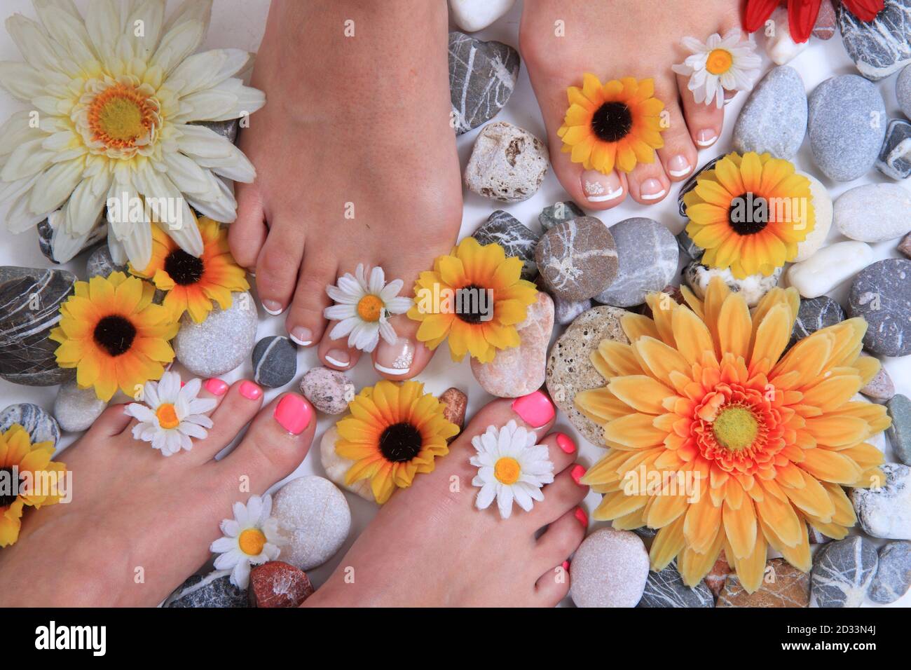 woman legs (pedicure - colored nails) isolated on the white background ...