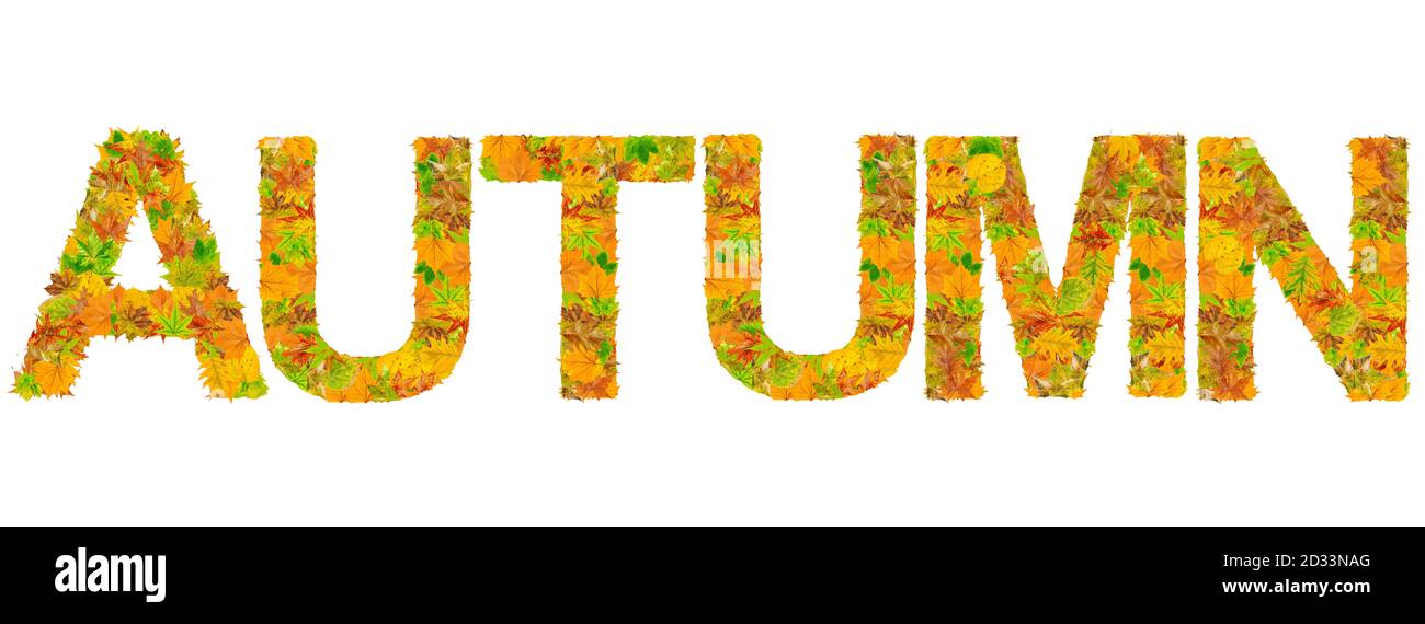 Word autumn made of leaves Stock Photo - Alamy