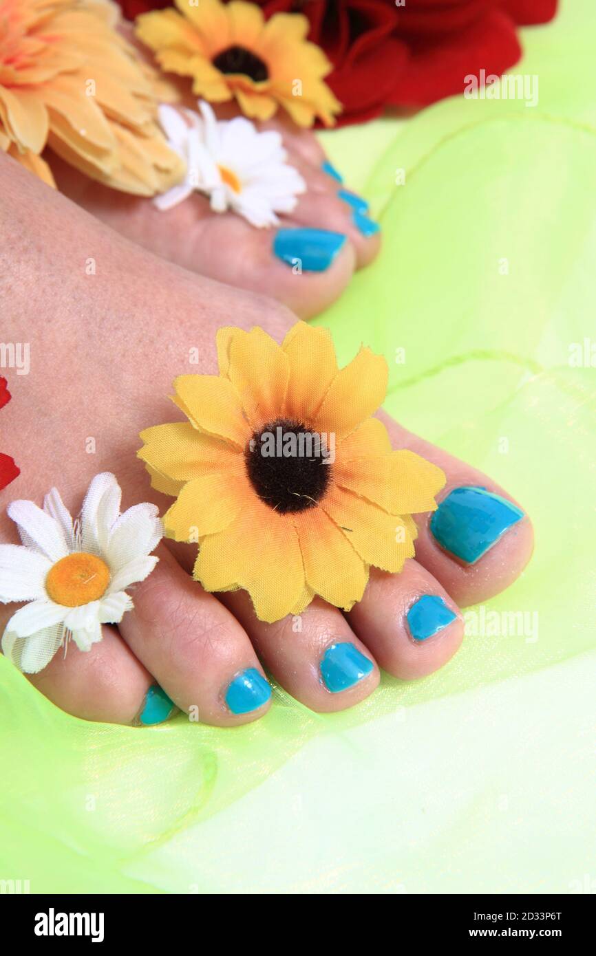 woman legs (pedicure - colored nails) isolated on the white background ...